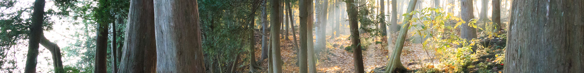 Mount Nemo - Conservation Halton