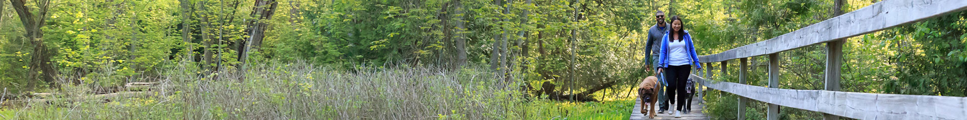 Robert Edmondson - Conservation Halton