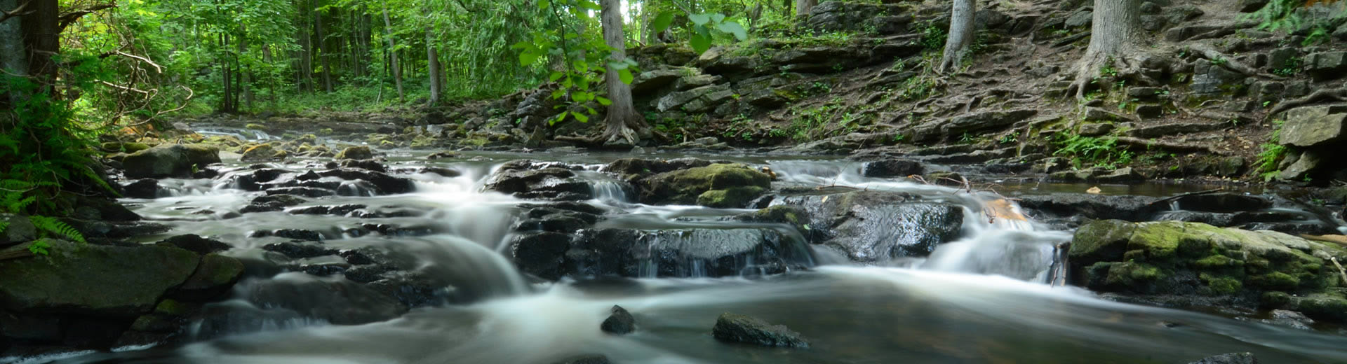 Conservation Halton Rates & Fees Increase - Conservation Halton