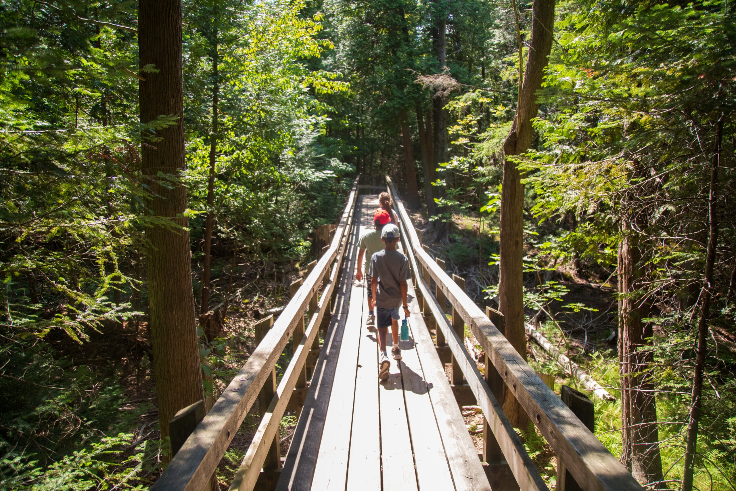 Ways of the Woods - Conservation Halton