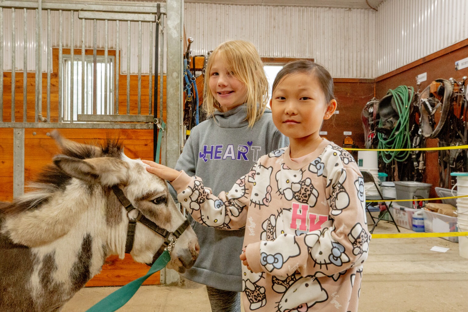 Camper Family Portal - Conservation Halton